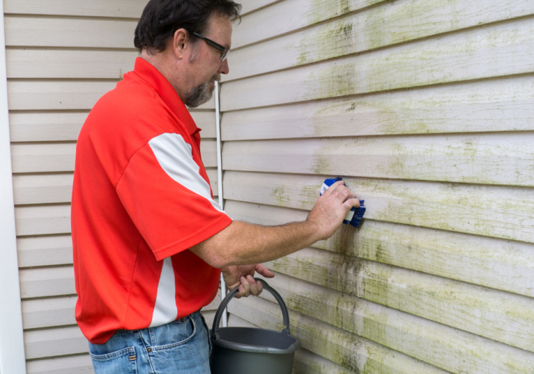 The Importance of Regular Maintenance for Vinyl Siding | McCallum ...